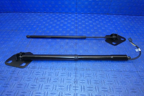 2010 - 2019 JAGUAR XJ TRUNK LID POWER STRUT SHOCK LIFT CYLINDER SET ...