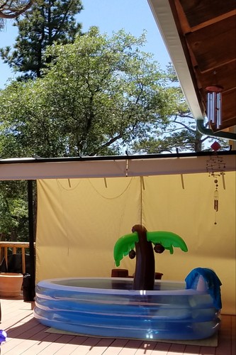 Kangaroo's Inflatable Raft Palm Tree Floating Island Swimming Pool ...