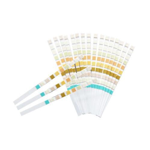 100 Strips URS-10T Urinalysis Reagent Strips 10 Parameters Urine Test ...