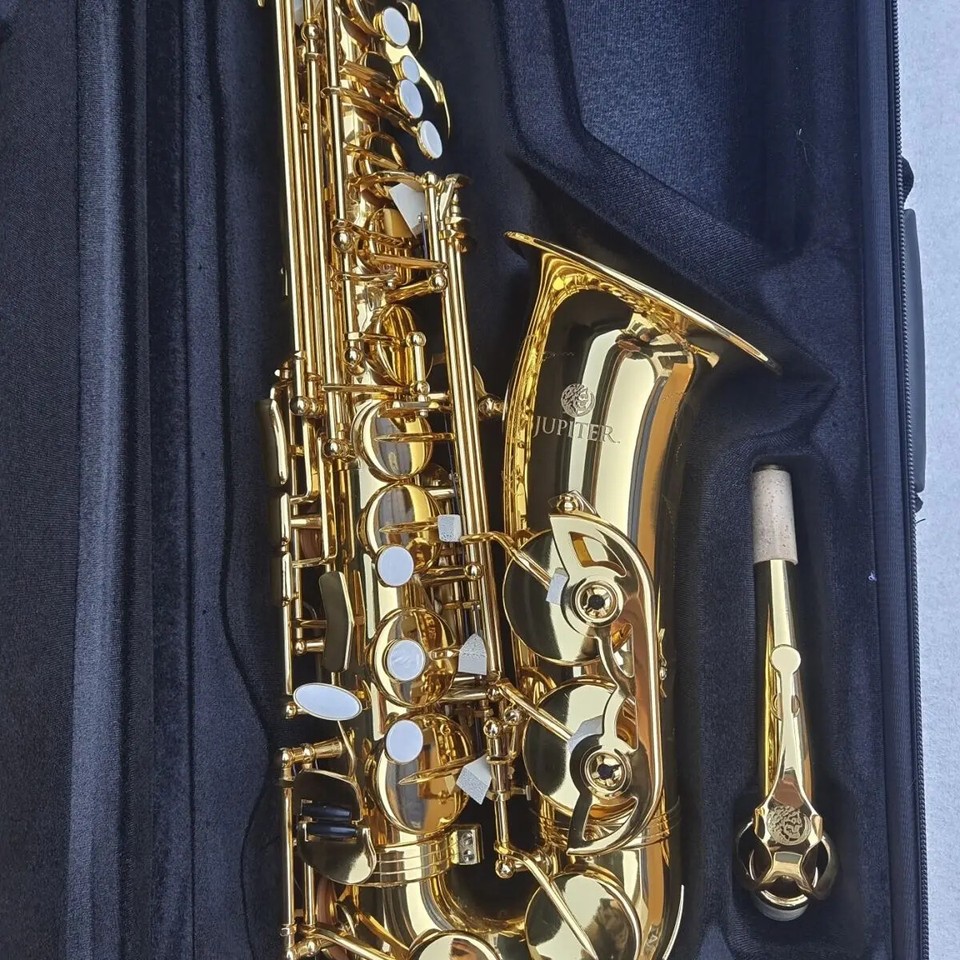 New JAS669 New Alto Eb Tune Saxophone Instrument Lacquered Gold Sax ...