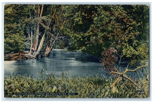 1911 Picturesque Retreat On Maple River Michigan MI Posted Antique ...