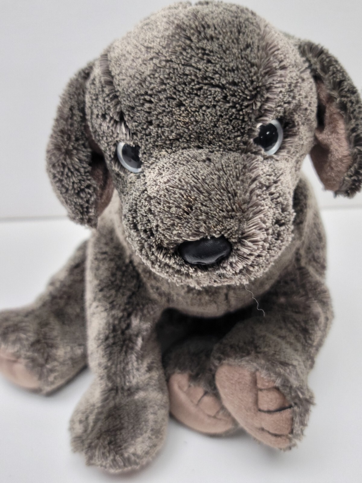 TY FRISBEE the DOG BEANIE BUDDY 10” (Ty 2002) Plush Soft Stuffed Animal ...