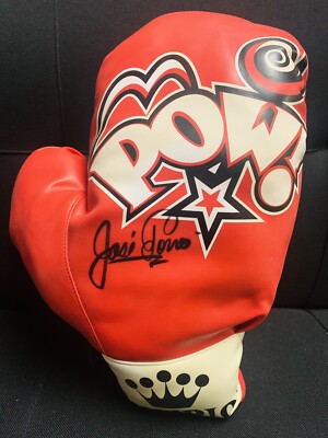 * JOSE TORRES * Champion Extra Large Pow Boxing Signed Glove Puerto ...