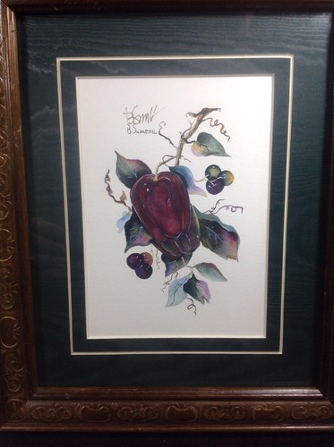 Apples Framed Art Print by B. Sumrall, hand signed | eBay