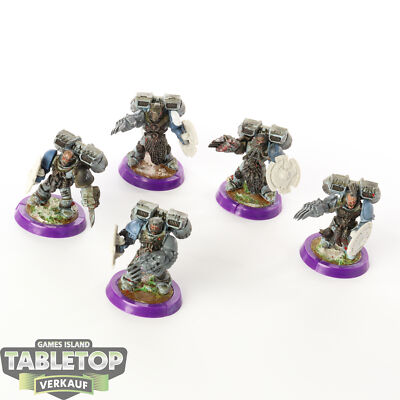 Space Wolves - 5 x Vanguard Veteran Squad - teilweise bemalt | eBay.de