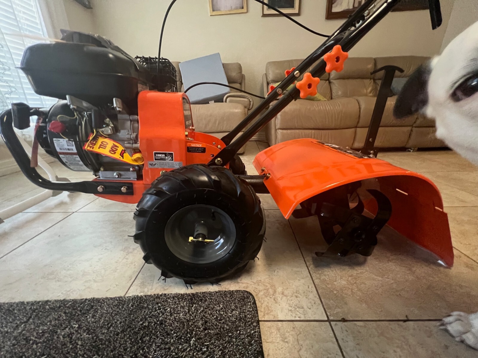 YARD FORCE YF20-RTT 20 in. 208cc Gas Rear-Tine Tiller Pick Up only | eBay