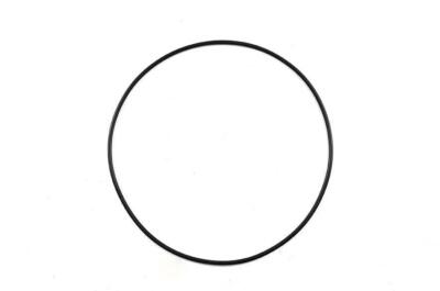 Davey Powermaster Pump Body Casing Oring | eBay Australia