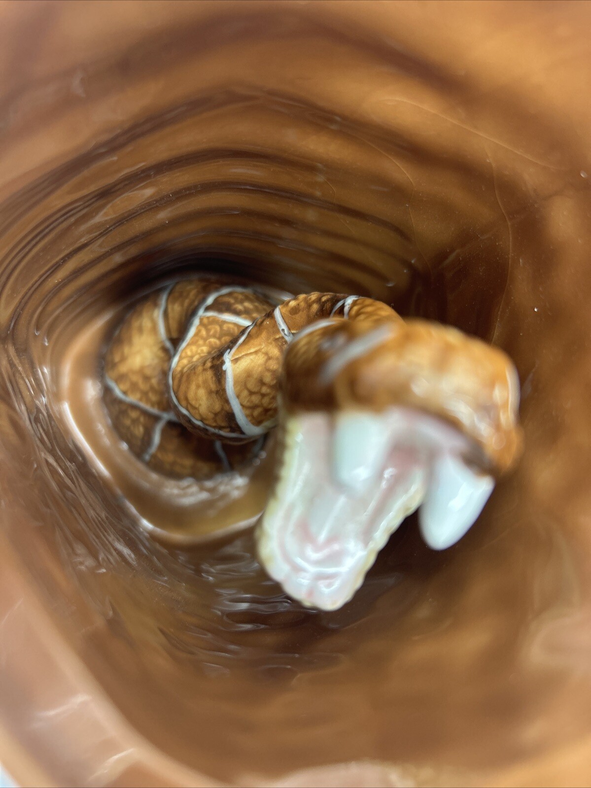 American Legacy Rattlesnake Oversized Mug Handled Cup Snake Inside 6.5 ...