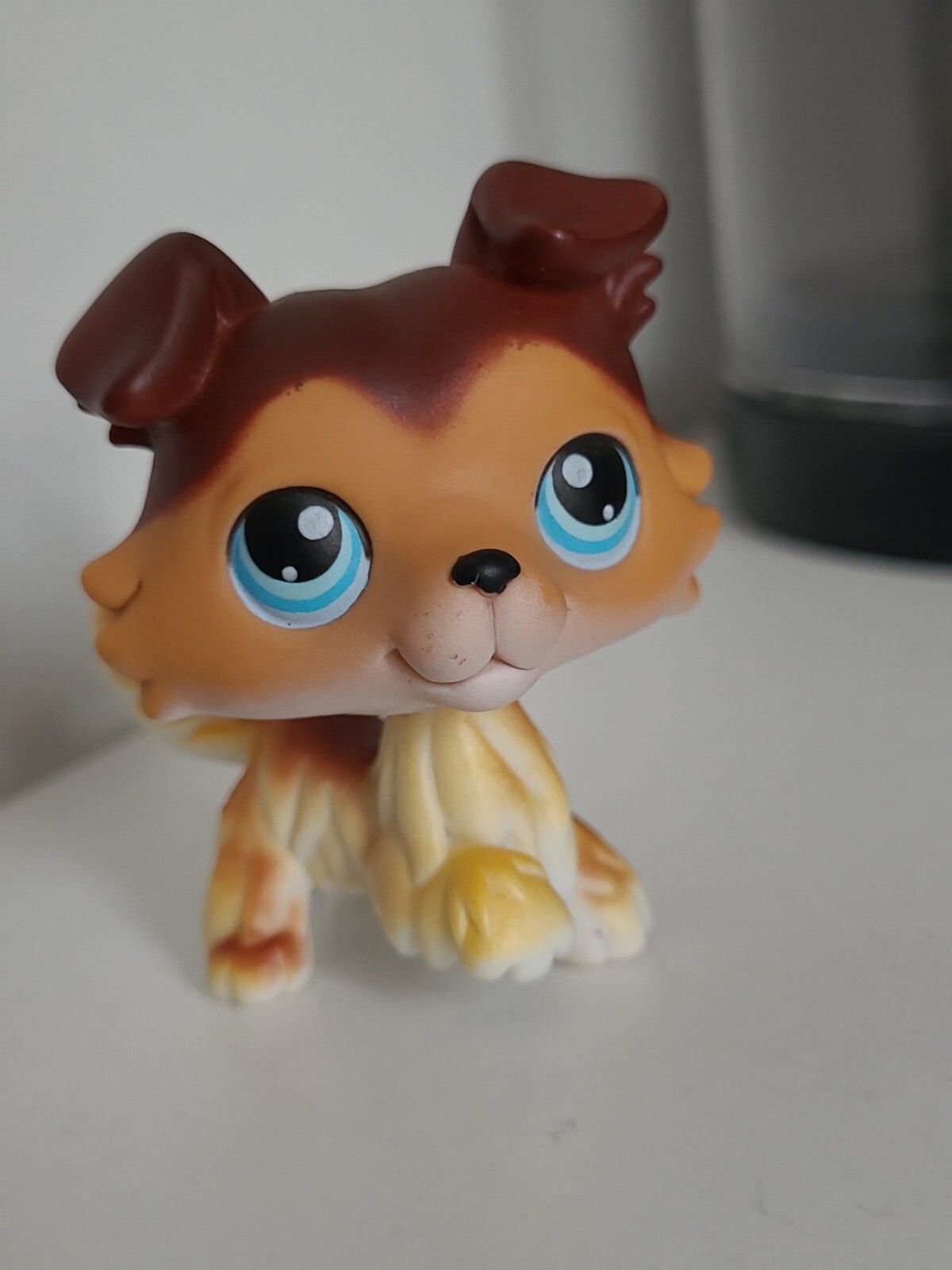 How Do Lps Real Collie Looks