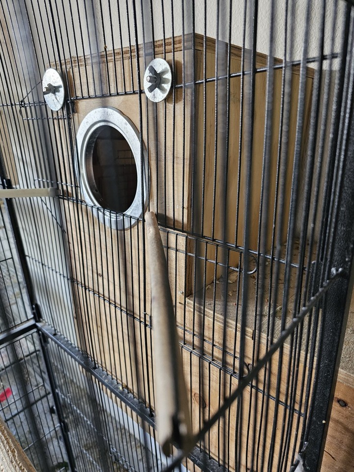 Bird Nest Box ( 20"x20"x10" toe) for Eclectus, Amazons, Etc | eBay
