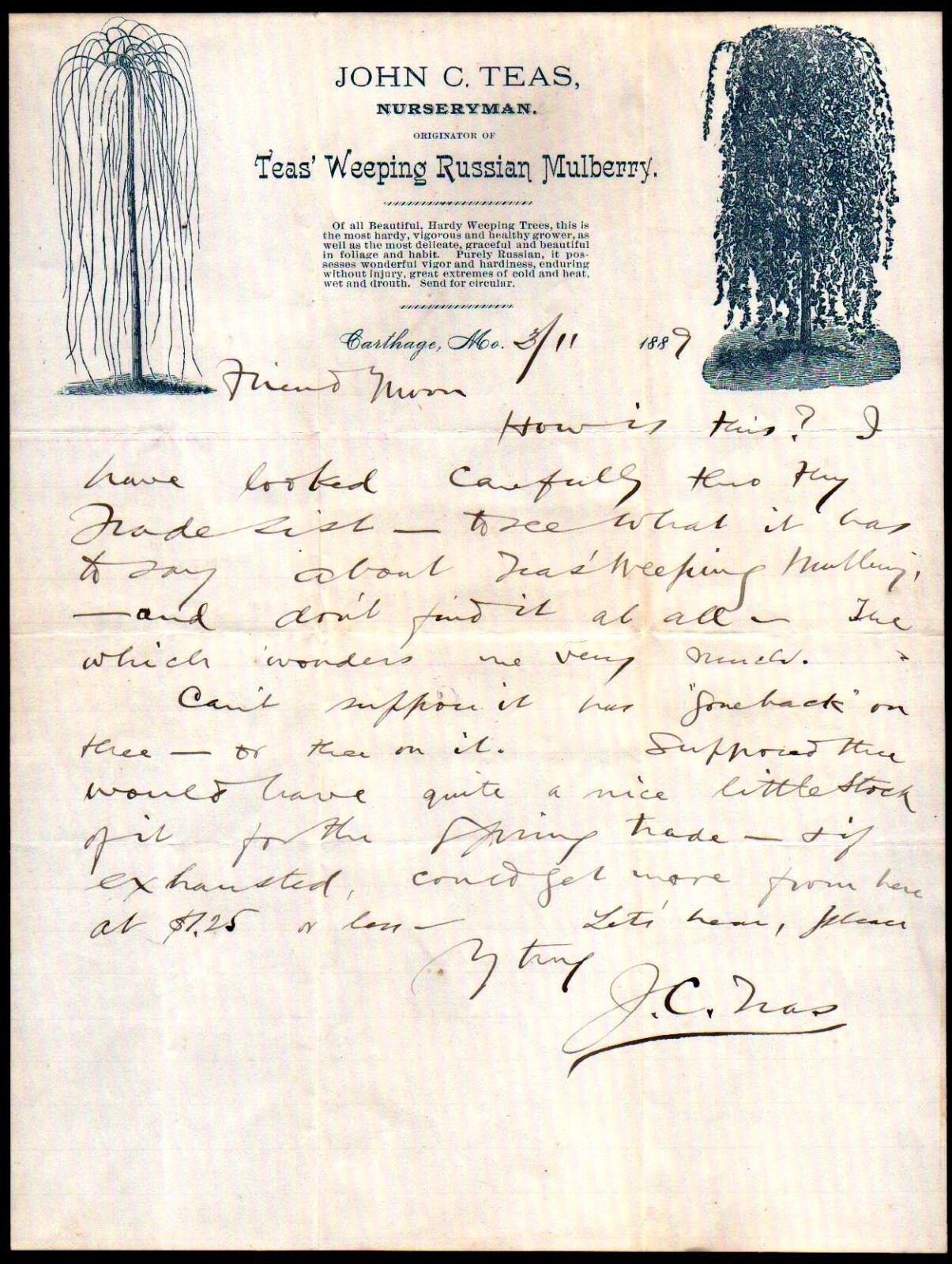 1889 Carthage Mo - John C Teas Weeping Russian Mulberry - Nusery ...