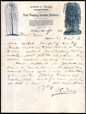 1889 Carthage Mo - John C Teas Weeping Russian Mulberry - Nusery ...