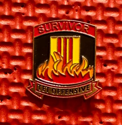 Vintage MILITARY PIN Survivor - Tet Offensive R5-2 | eBay