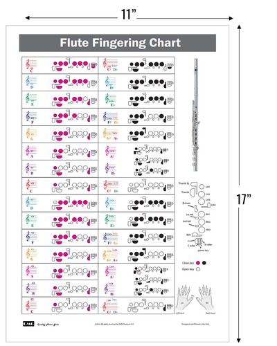 Flute Fingering Chart with Color-Coded Notes, Learn Flute Technique | eBay
