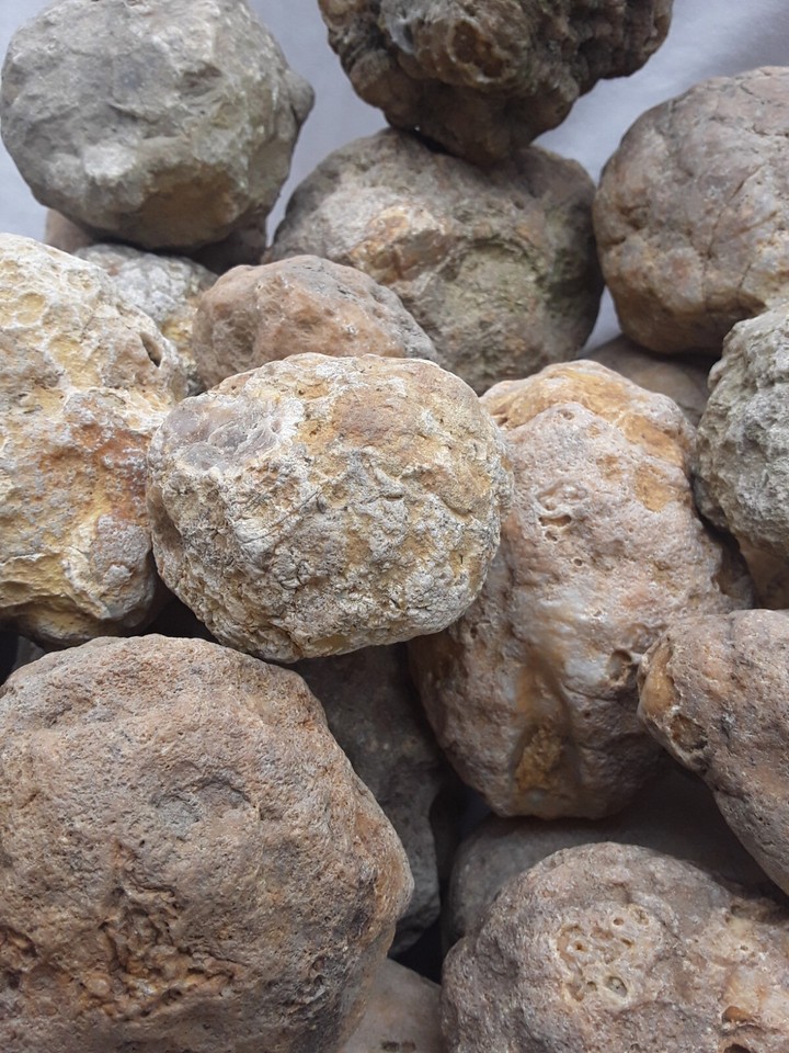 10 lb Bulk Kentucky Geodes – Natural Raw Unopened Crystals | Hollow ...