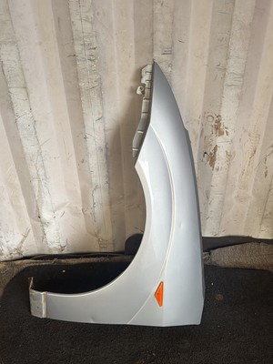 2004 Ford Focus Left Front Guard | eBay Australia
