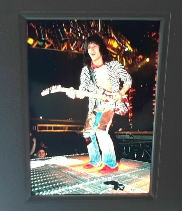 Eddie Van Halen Pants