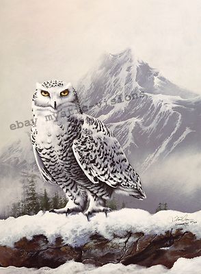 Phillip Crowe GUARDIAN OF THE NORTH Signed & Numbered Snowy Owl Fine ...