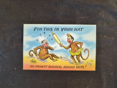 Vintage Postcard 1930's Pin This In Your Hat No Monkey Business Around ...