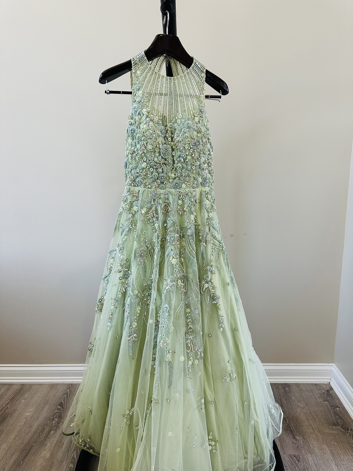 Pastel Green Indian Gown - Gem
