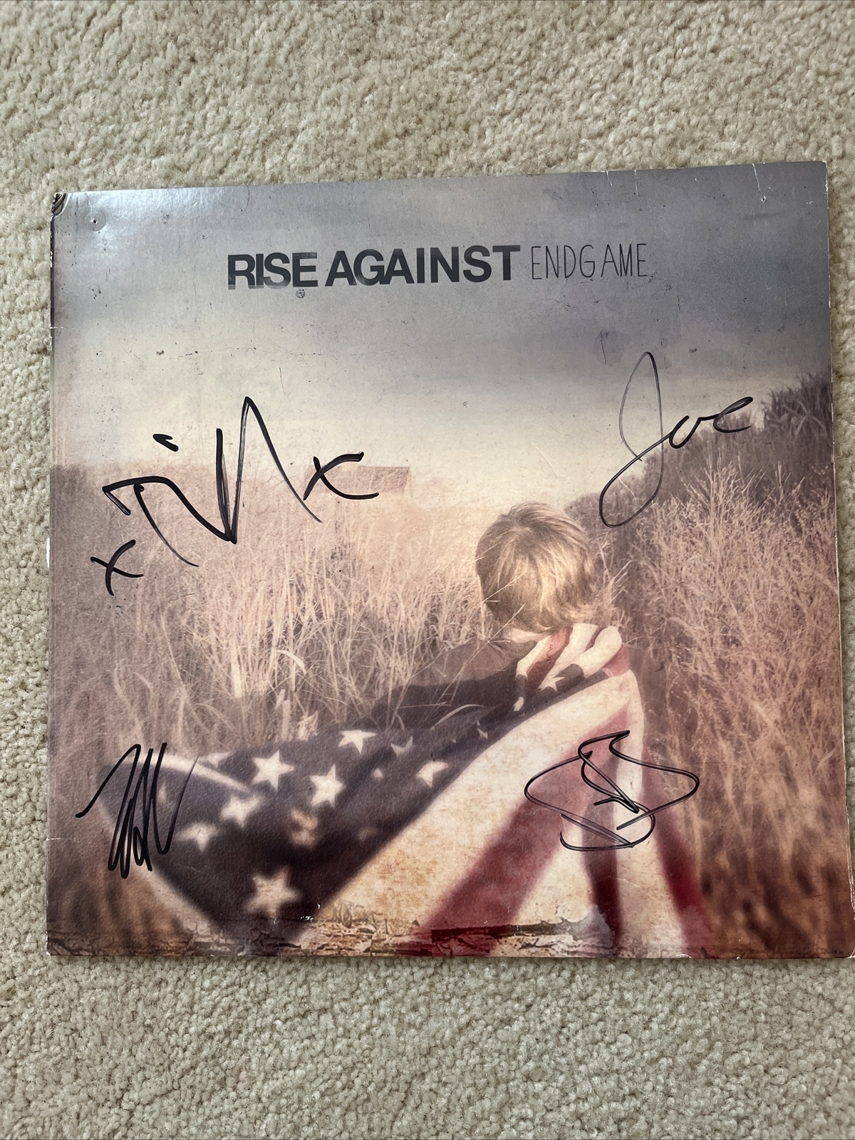 Rise Against Endgame Vinyl - Autographed | eBay