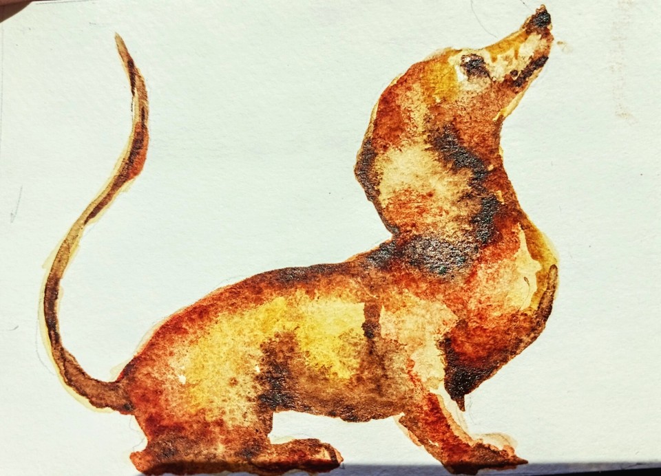 ACEO dachshund dog art original signed painting,home design,pet lover ...