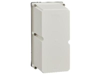 Clipsal INDUSTRIAL ADAPTABLE ENCLOSURE COVER 2-Gang Deep, Grey ...