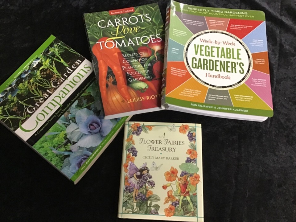 Gardening - Plants, Landscaping, Organic Farming & more - Choose from ...