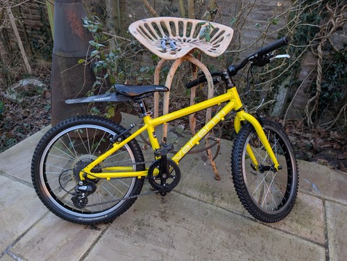 20 inch wheel kids mountain bike | eBay UK
