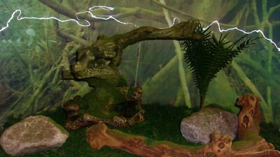 1/12 scale jungle diorama for Predator/Alien/ML/DC figs | eBay