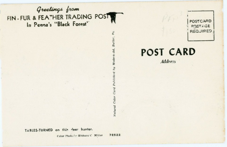 Fin Fur & Feather Trading Post Lock Haven Pa, Postcard Deer Hunter Old ...