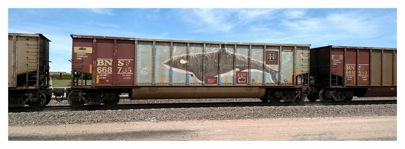 BNSF Coalporter Bethgon #668785 Whale Graffiti N Scale | eBay