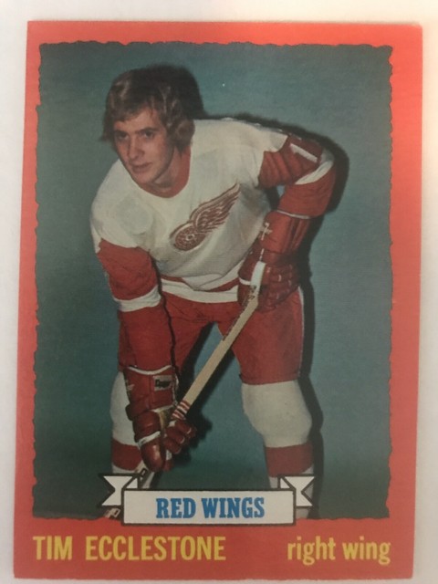 1973-74 Topps - #124 Tim Ecclestone for sale online | eBay