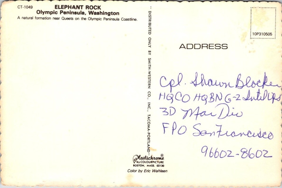 Postcard Olympic Peninsula Washington Elephant Rock 4x6" | eBay