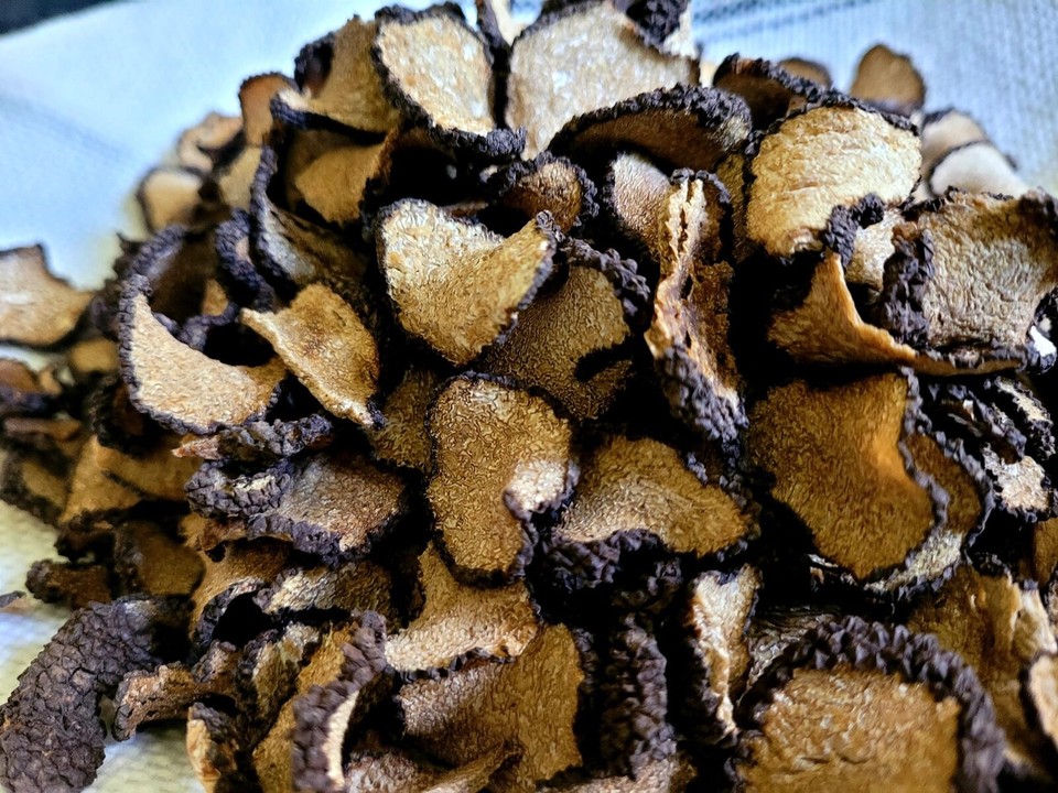 Dried Organic Sliced Umbria Black Truffle Summer Black Truffle/ Tartufo ...