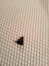 GM OEM Exterior-rocker Molding Right 23162294 for sale online | eBay