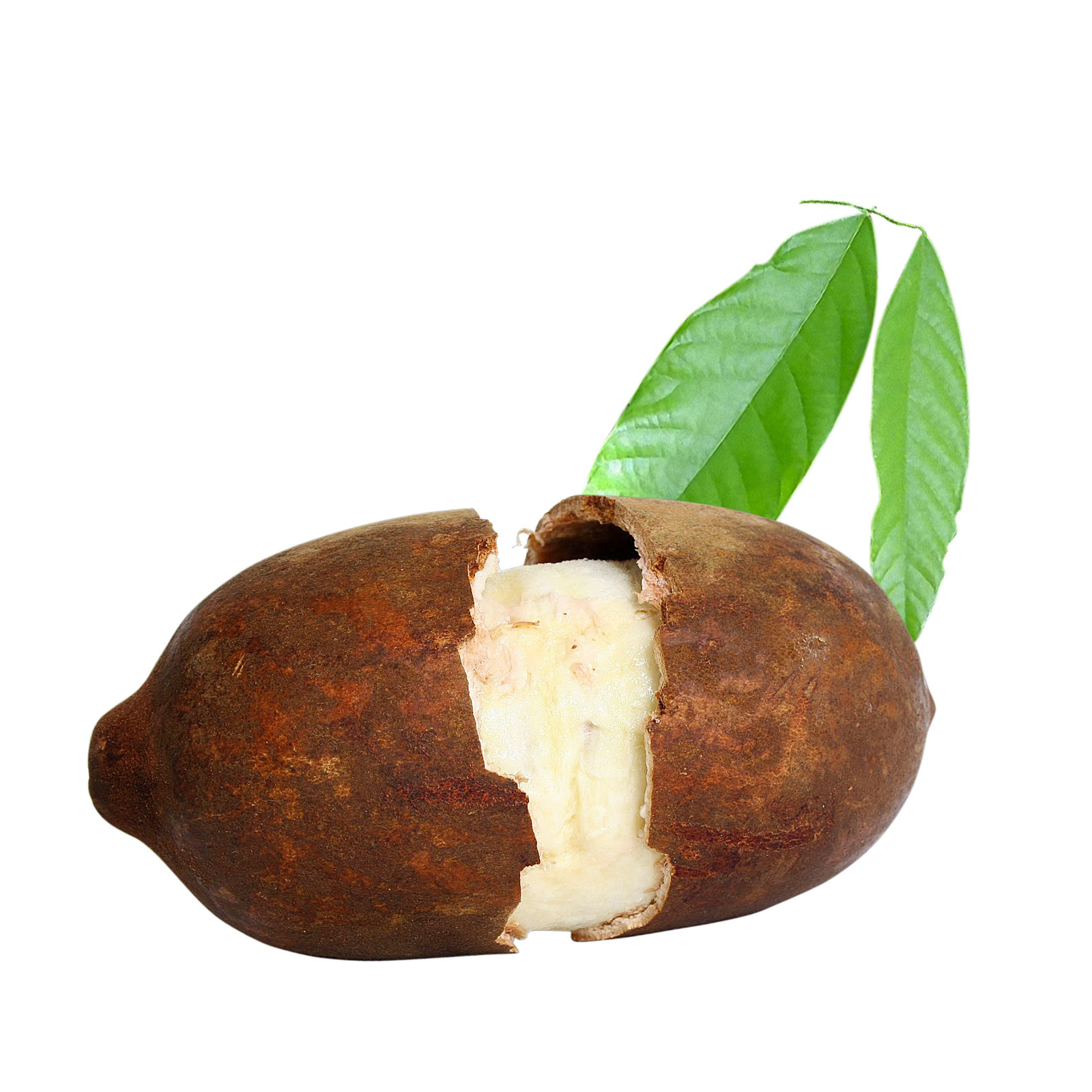 CUPUACU freeze dried fruit powder 8oz 16oz 1lb 32oz 2lb 4lb 10lb Paje ...