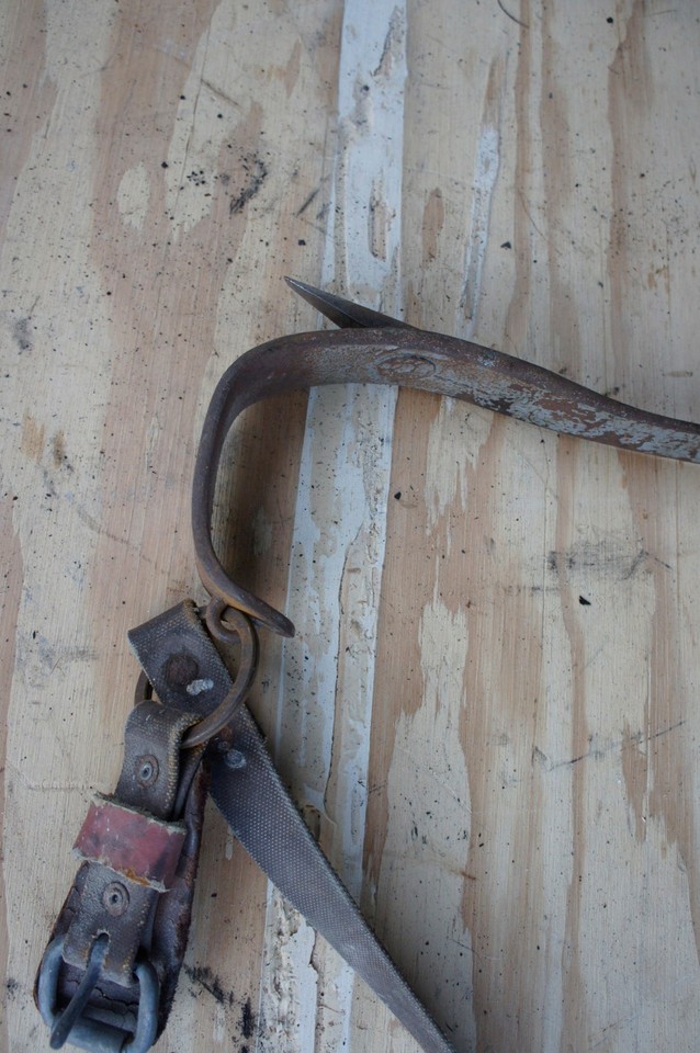 Buckingham Tree and Pole Climbing Spikes Gaff Spurs Arborist | eBay