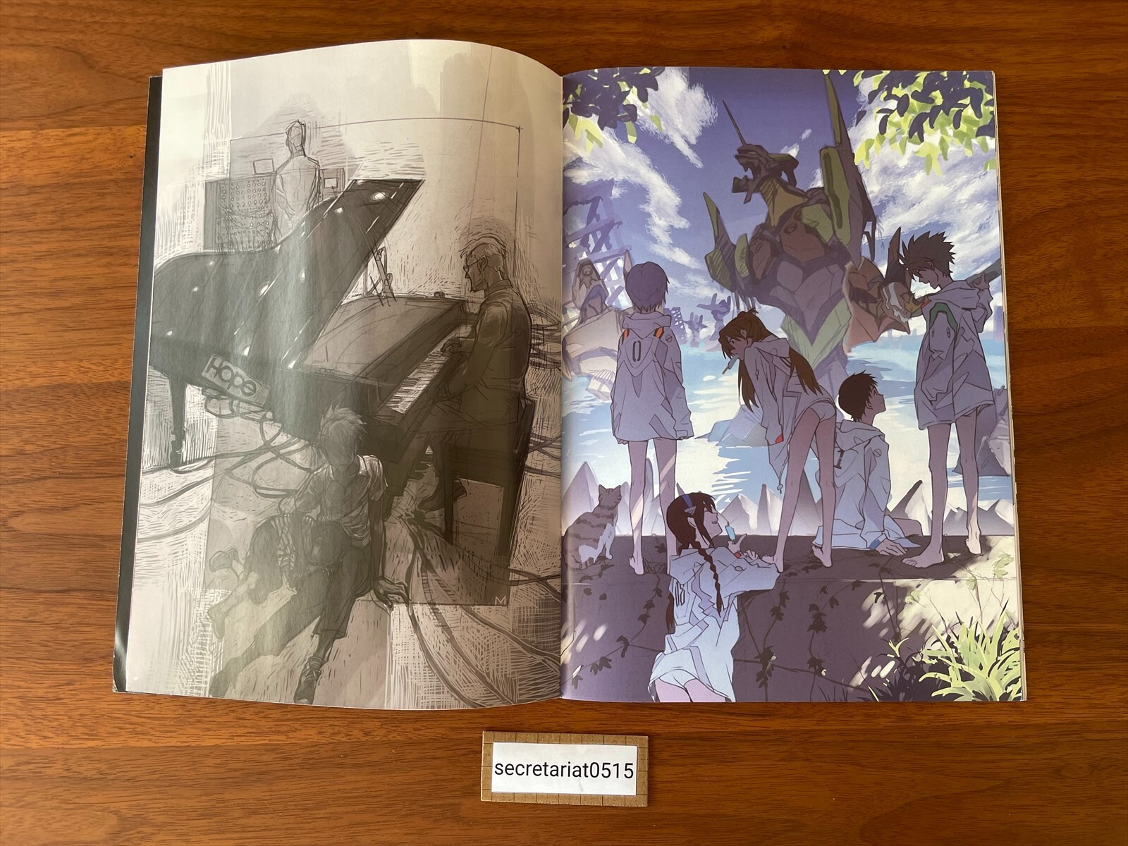 Shin Evangelion 3.0 -120min Eva Extra Extra Movie Exclusive Book Illustrations | eBay