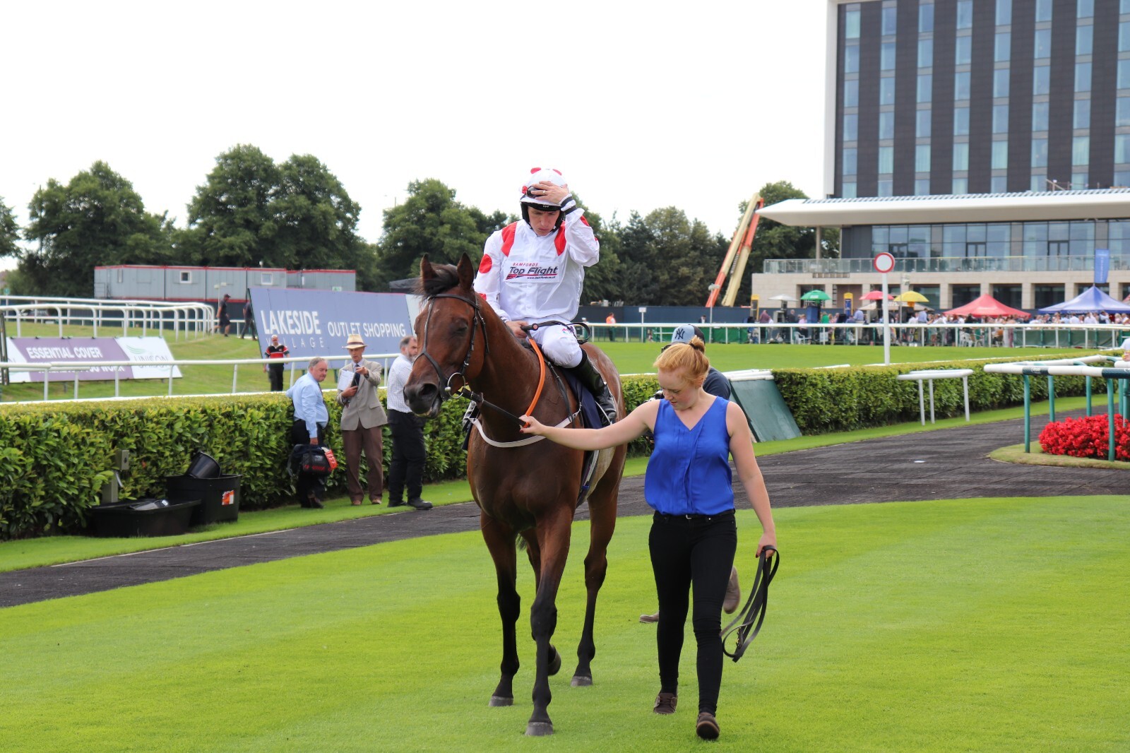 Snowflake Supreme Quality Wood Shavings 15kg (Approx) Dust Free Animal ...