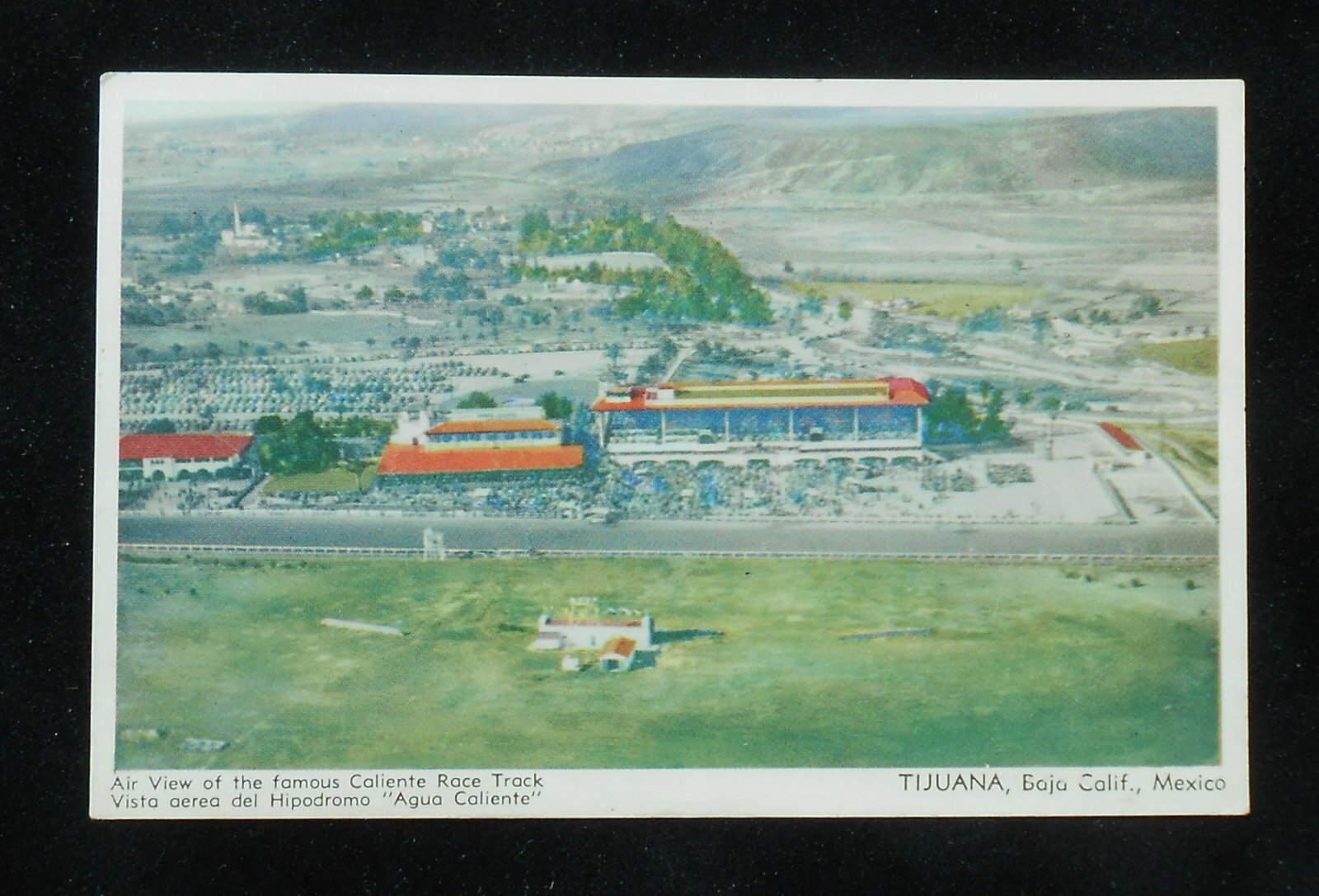 1955 Air View of the Famous Caliente Race Track Tijuana BCN Mexico ...