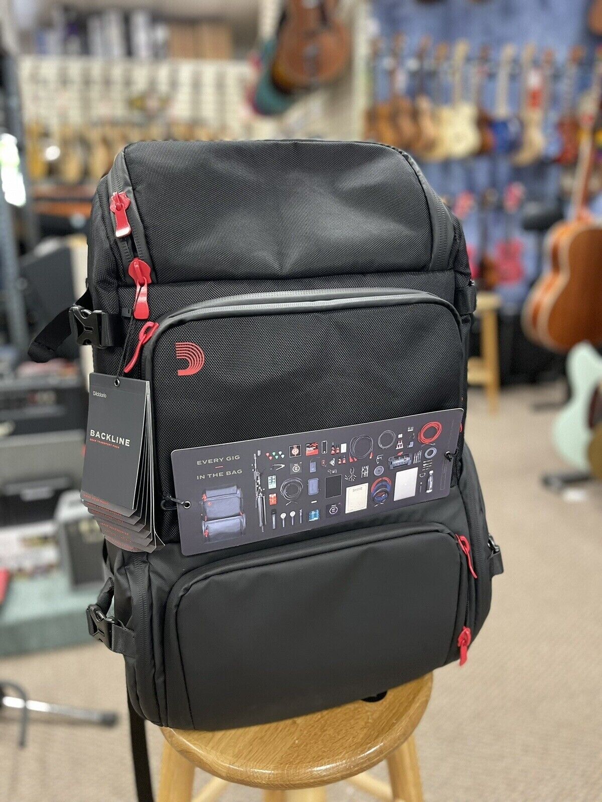 D’Addario PW-BLGTP-01 Back Line Gear Transport Back Pack - NEW | eBay