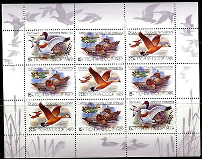 5967 - RUSSIA 1989 - Ducks - Birds - Fauna - MNH Mini Sheet | eBay