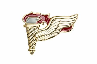 Pathfinder US Army Badge Dress Mini (each) | eBay