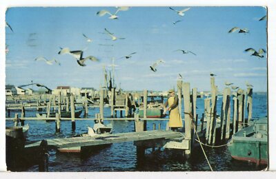 1955 Skip Streeter feeding seagulls, Skip's Dock in Jerusalem ...