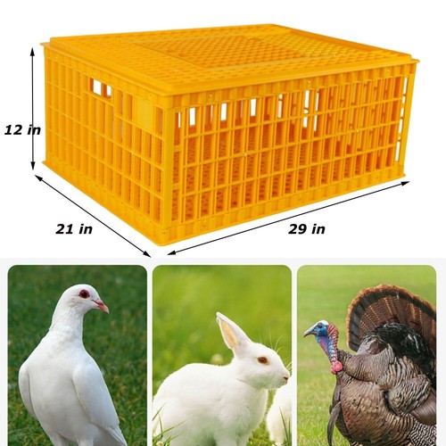 Farm Products Poultry Transport Show Case Coop Crate Chicken Max ...