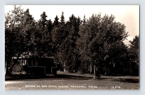 Postcard RPPC Maine Macwahoc ME Red Apple Cabins 1940s Unposted DuPont ...