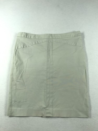 Basque Grey Straight Skirt Zip Closure Adult Womens Basic Size 14 ...