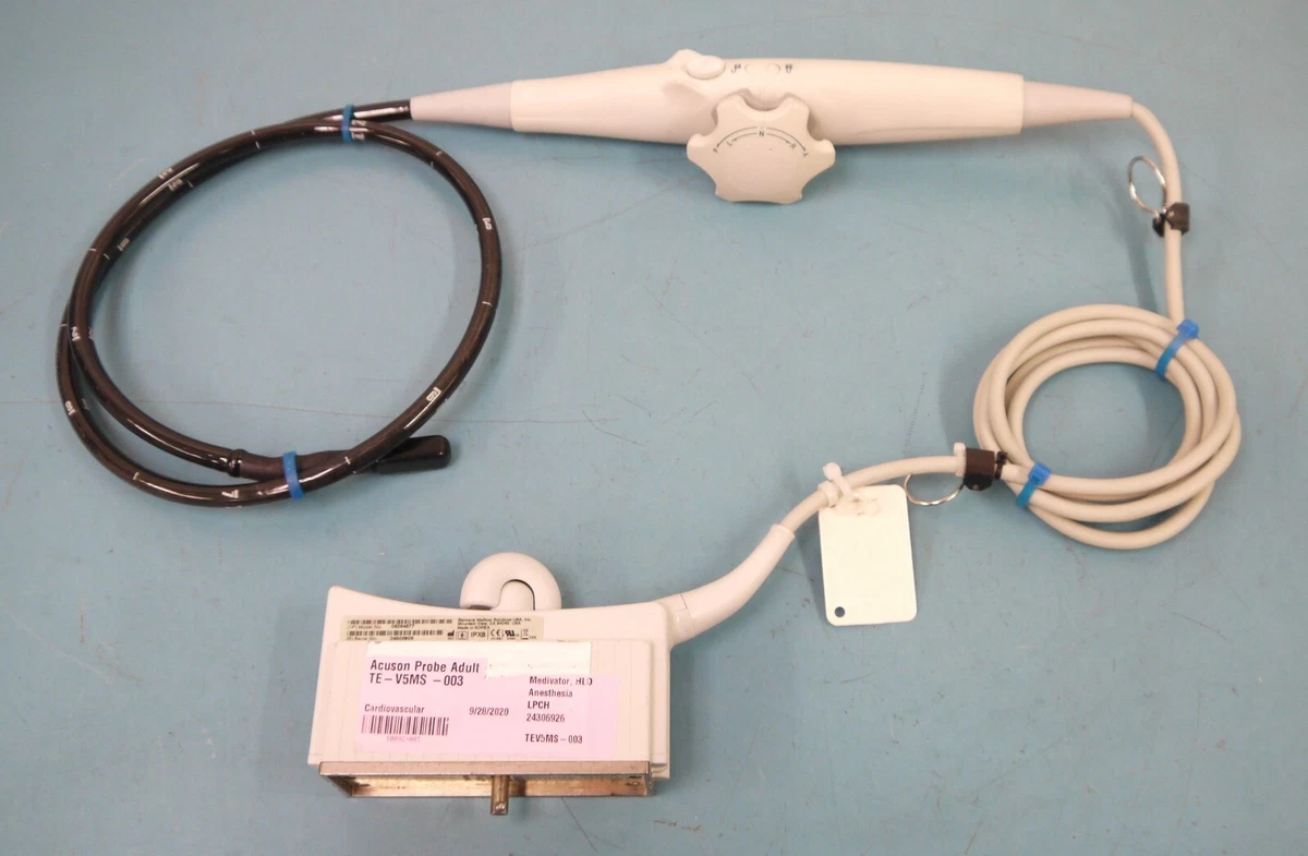 SIEMENS Acuson TE-V5Ms Transesophageal Ultrasound, 54% OFF