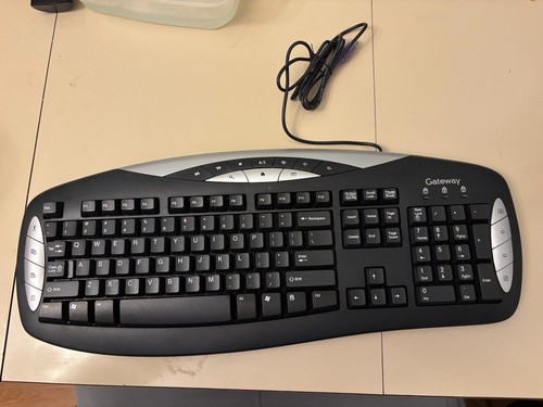 Gateway KB-0401 Black Silver Wired PS/2 Multimedia Keyboard Cleaned and ...